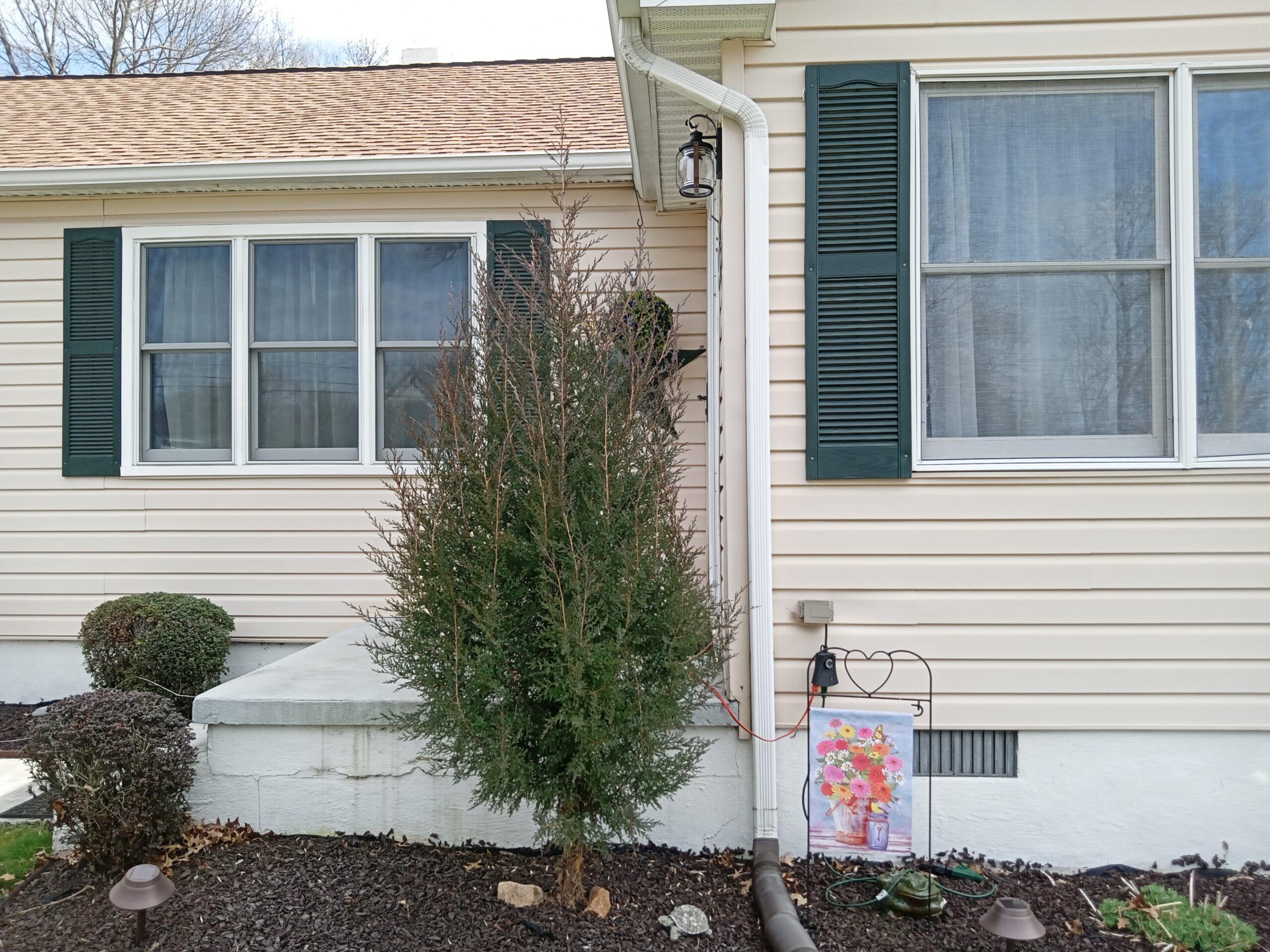 5 Essential Qualities & 5 Red Flags to look for in a Basement ...